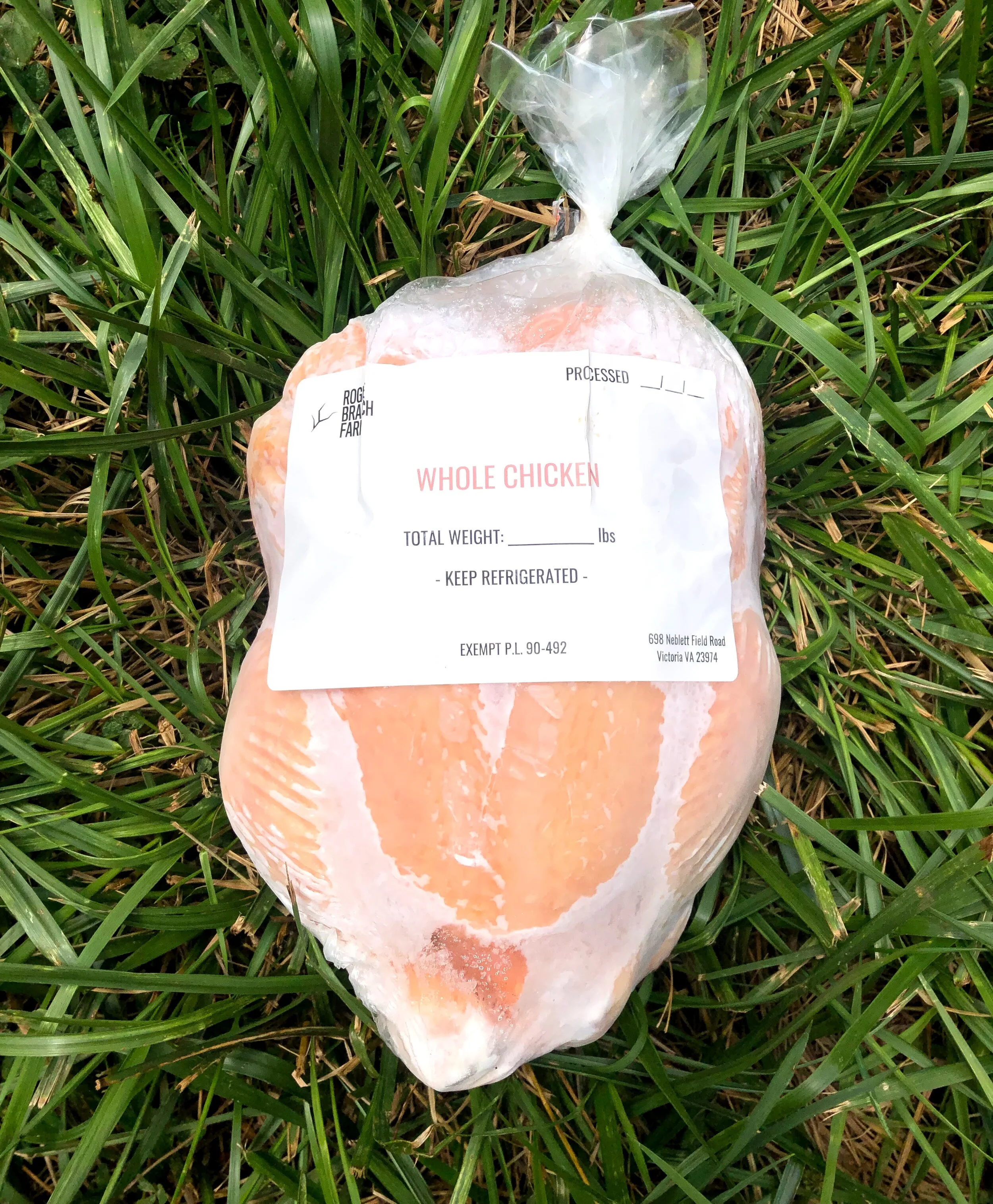 Shop — Rogue Branch Farm