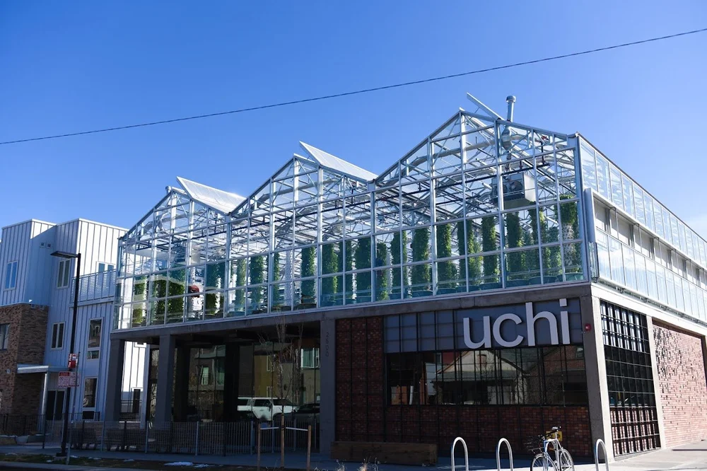 Host a Community Gathering | Jewish Family Service