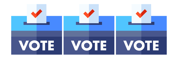 Vote Banner