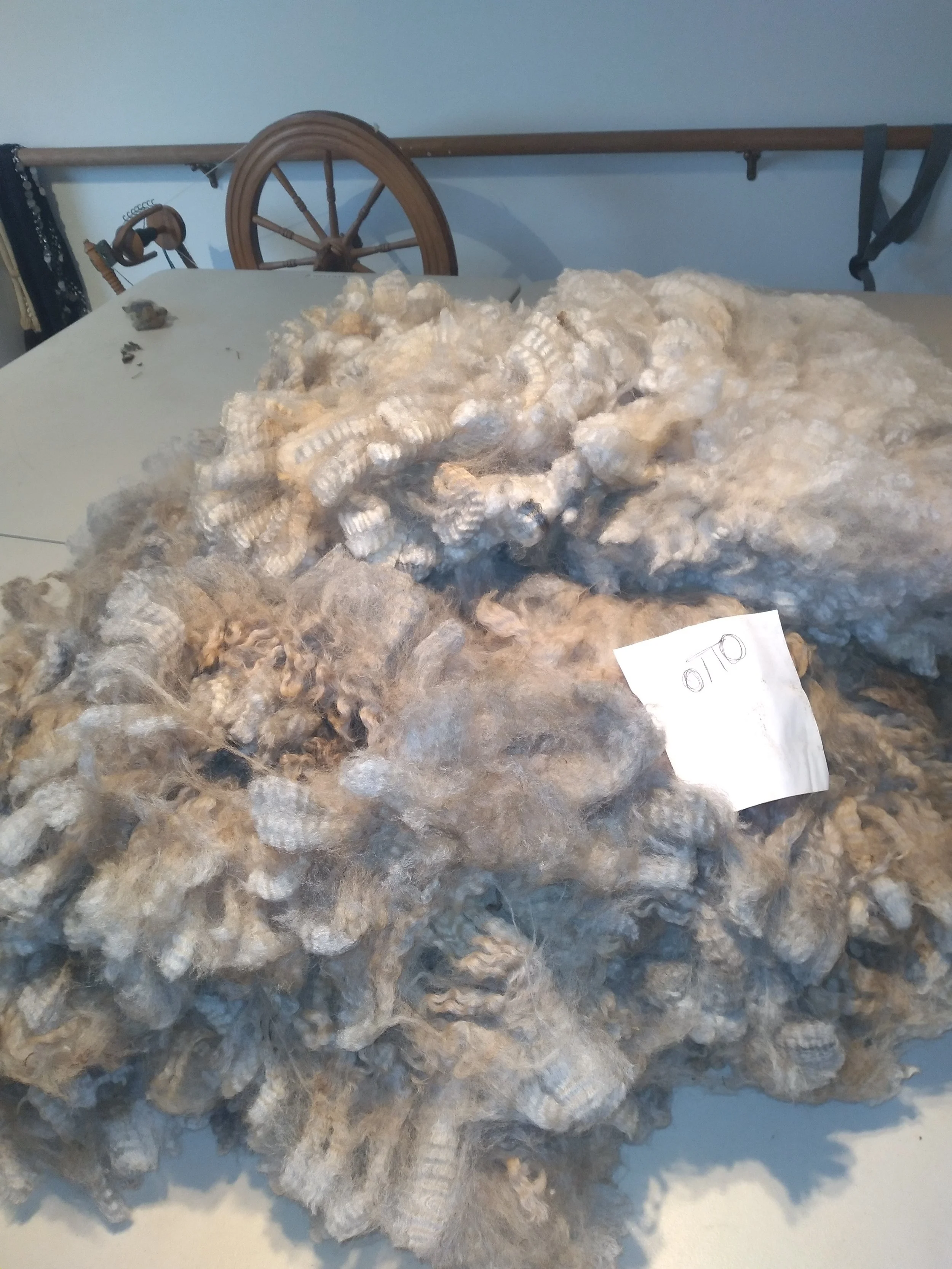 Store 2 — Loose Ends Fiberworks at Pheasant Creek Ranch