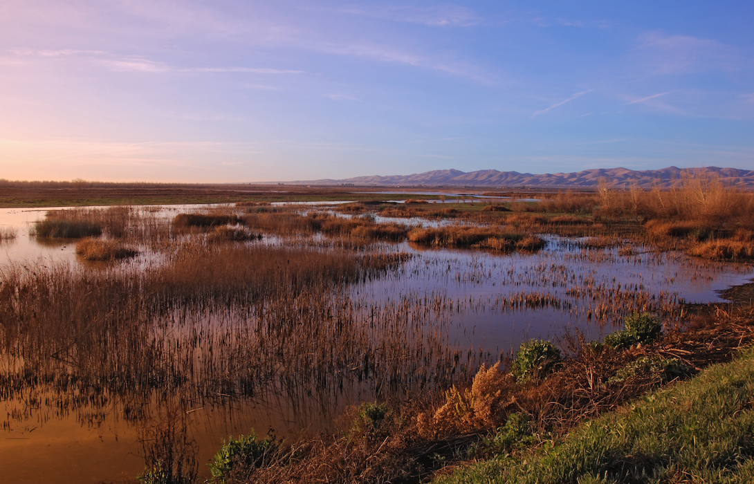 Celebrating 10 Years of Restoration at Dos Rios Ranch — Tuolumne River ...