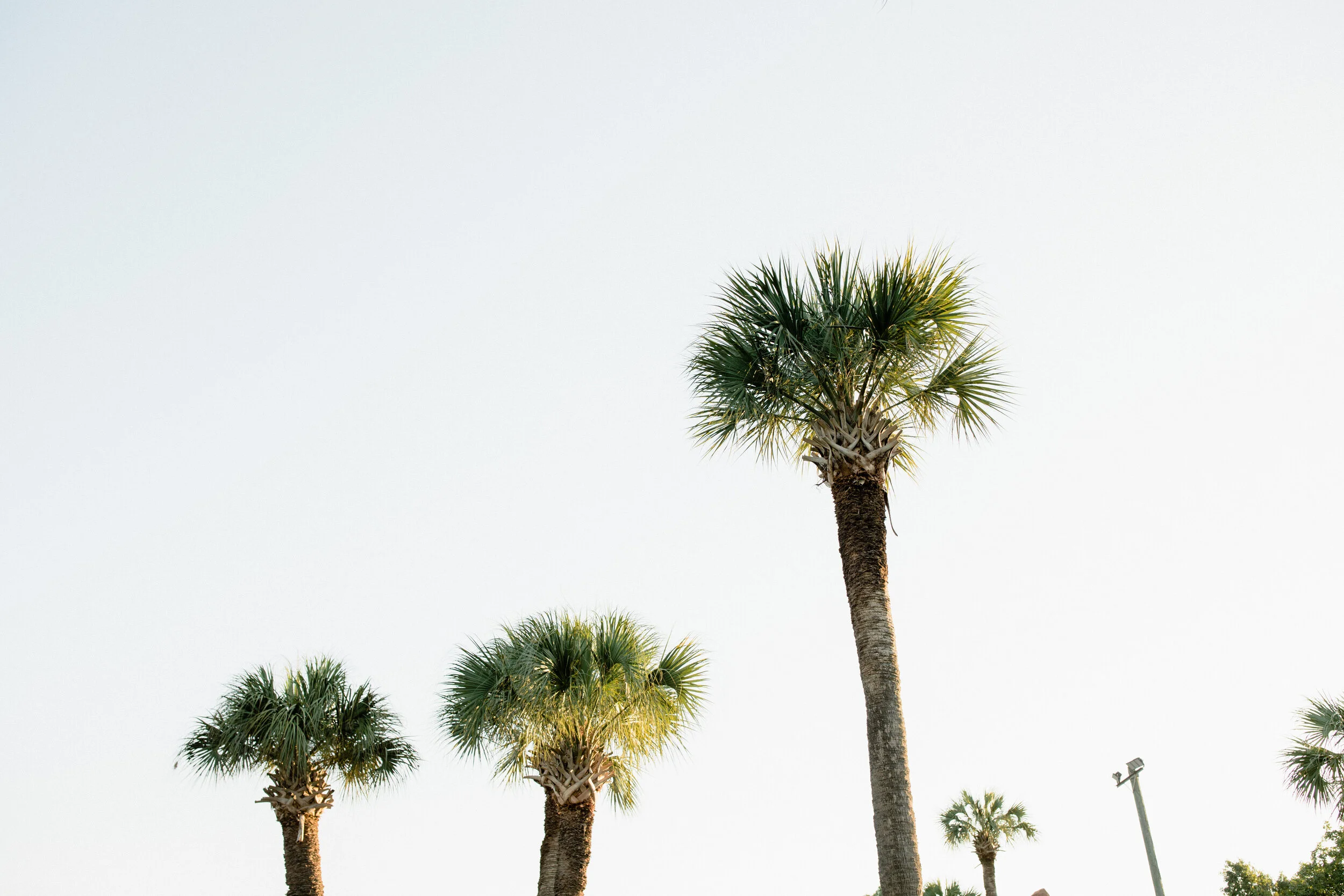 General 6 — Myrtle Beach Mini Golf