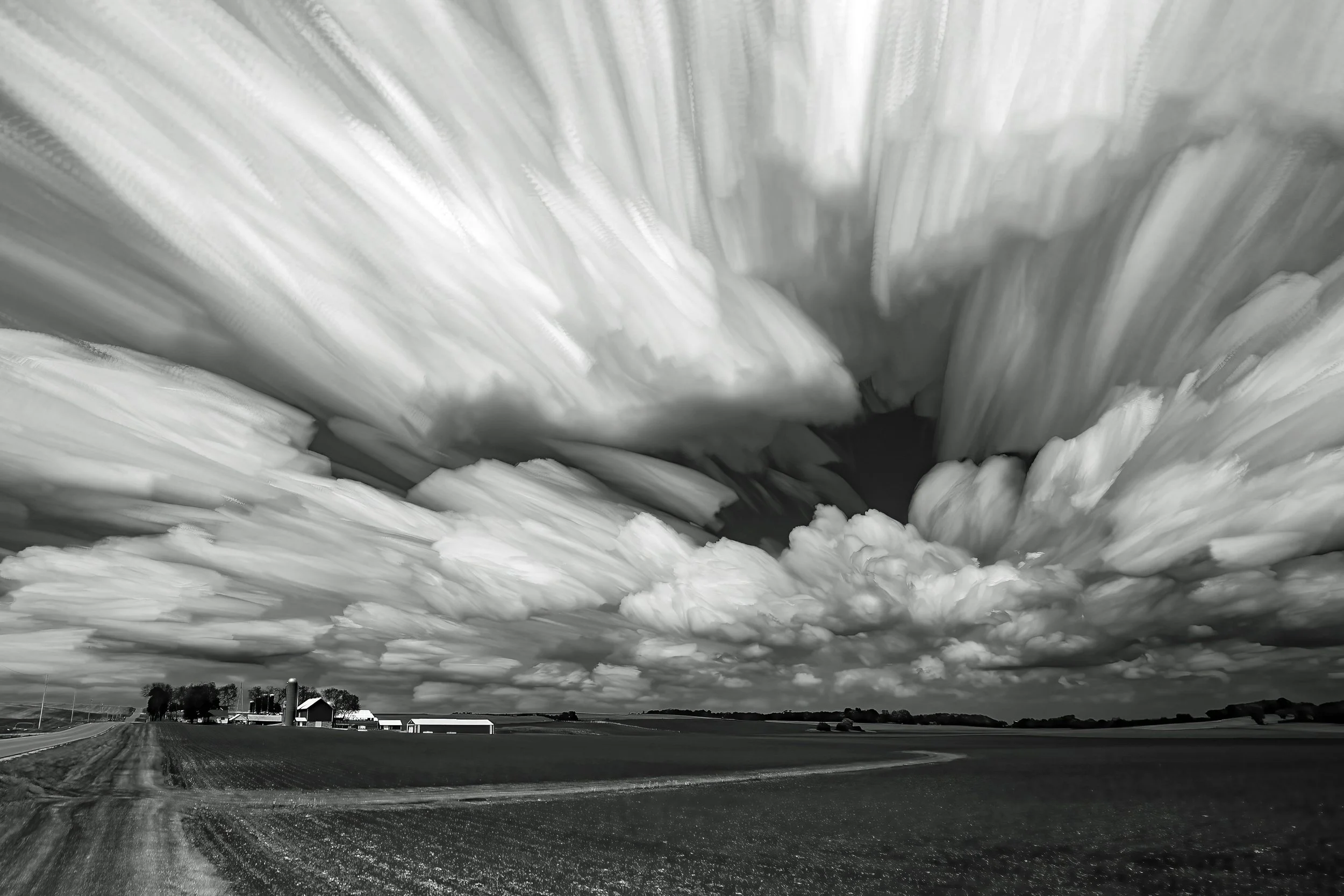 The Chateau Gallery - Contemporary Art Gallery