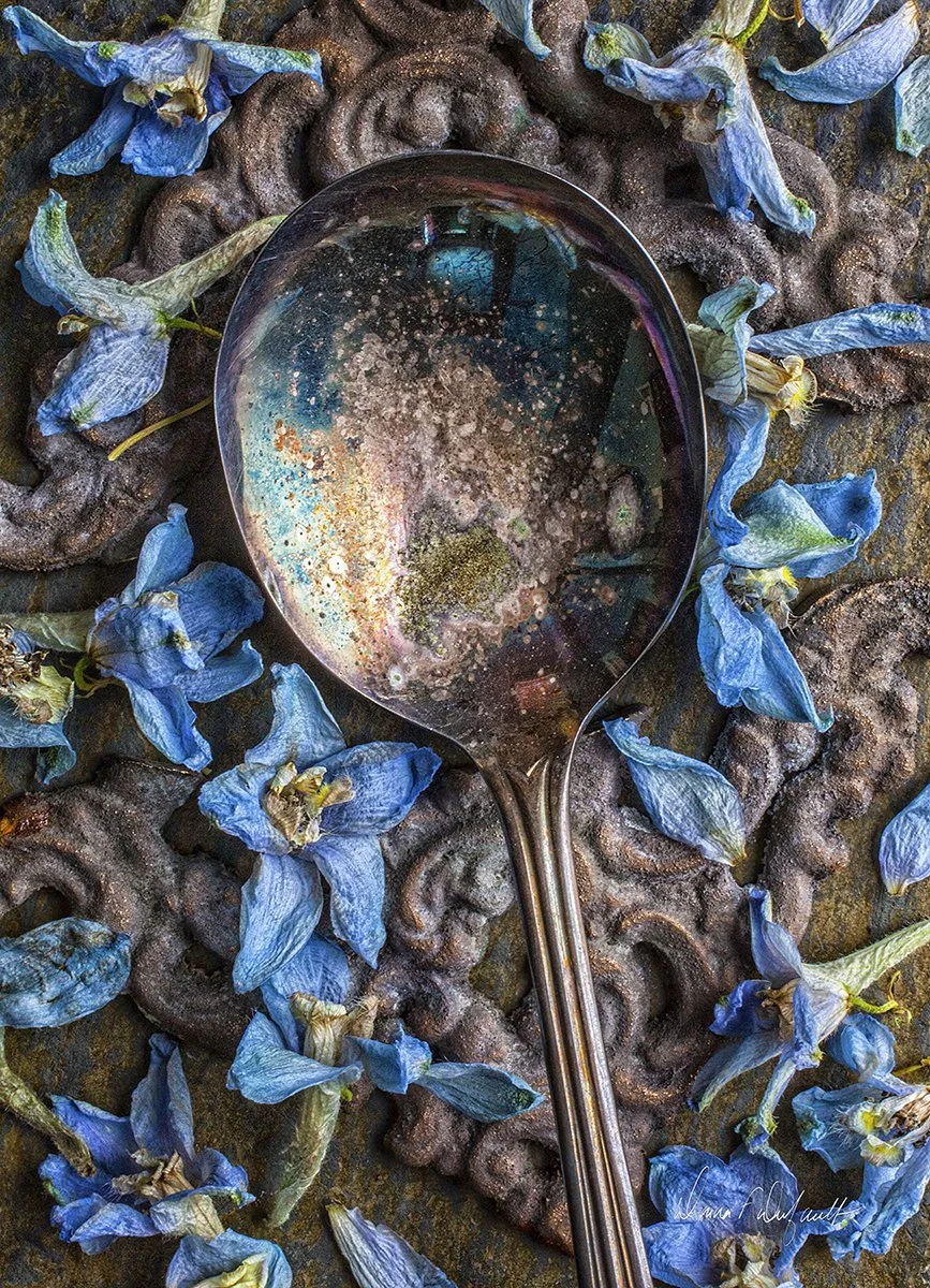 Exhibition: The Beauty in Decay — TCG Gallery