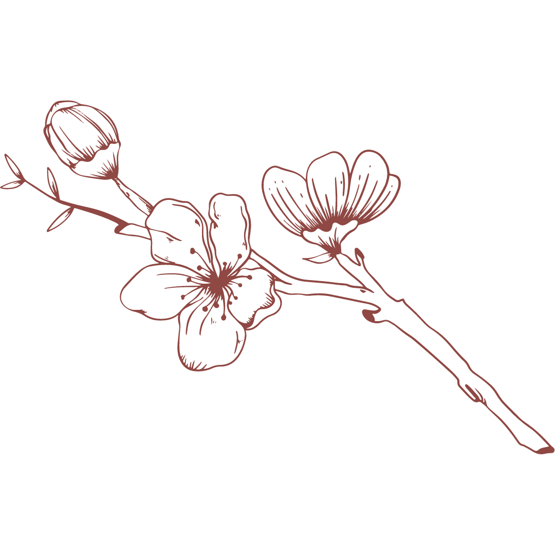 Cherry Tree Design Studio