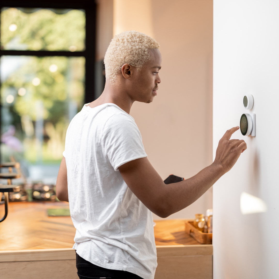 Heading South For Winter — Quinoco