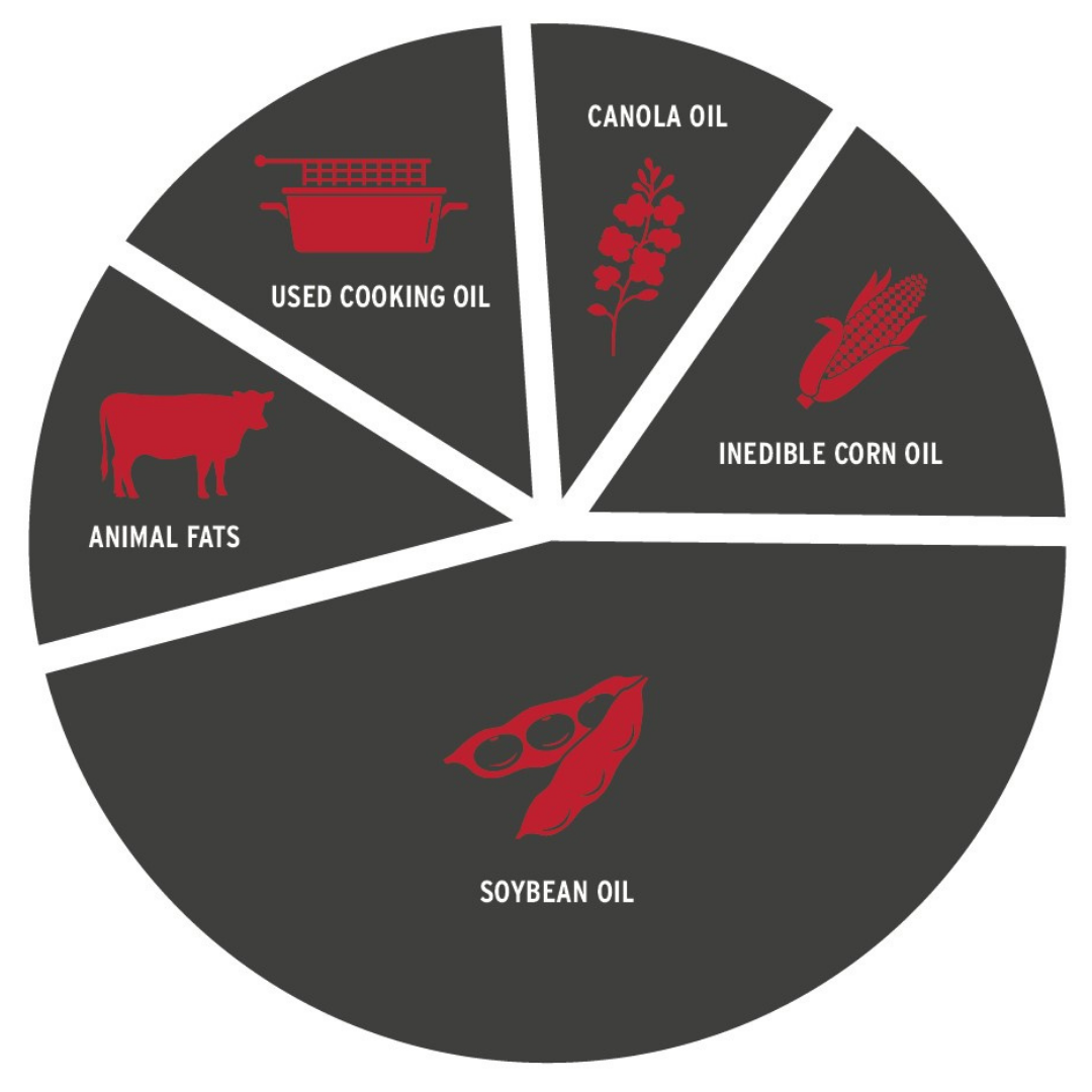 The Bioheat Difference — Quinoco