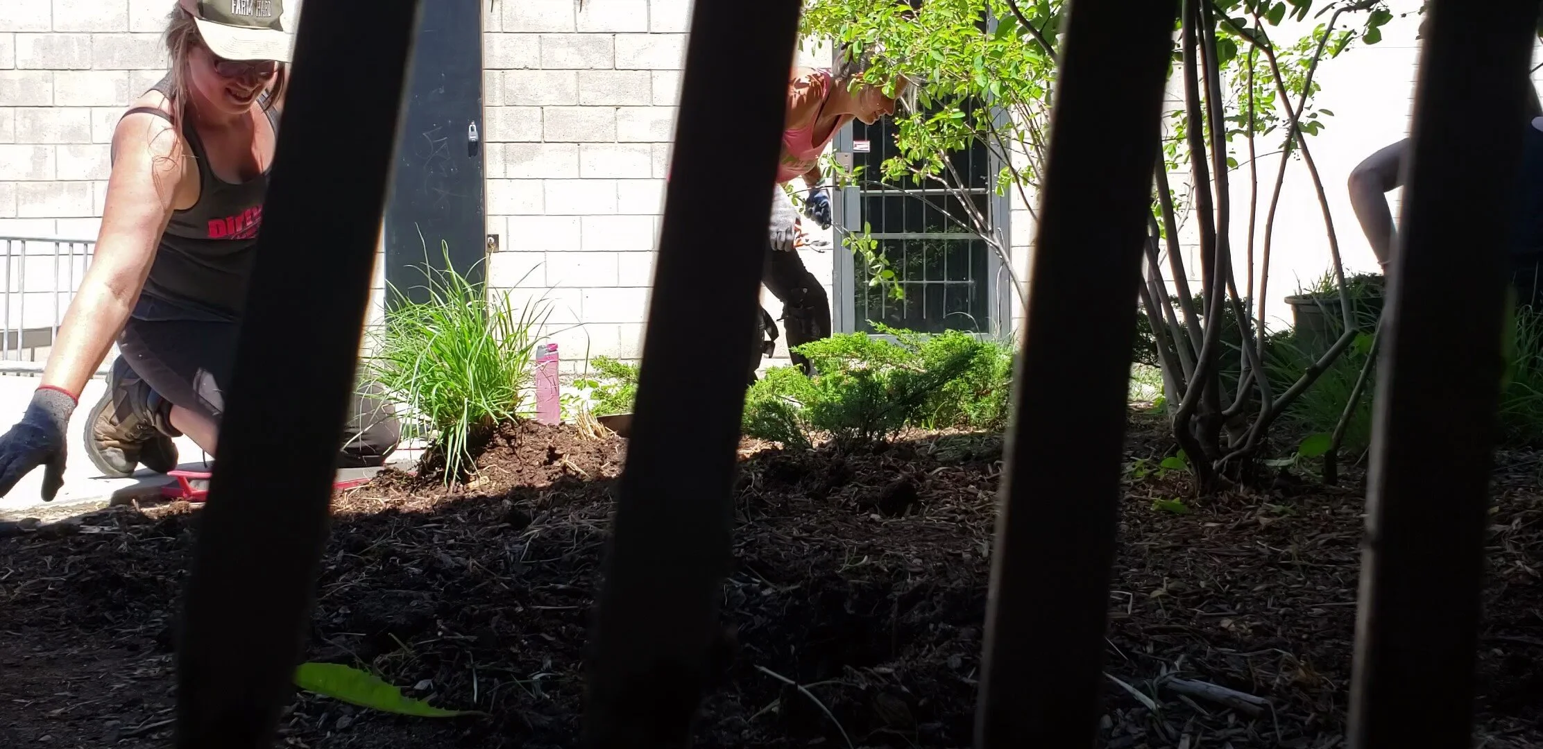 Dirty girls lawn care