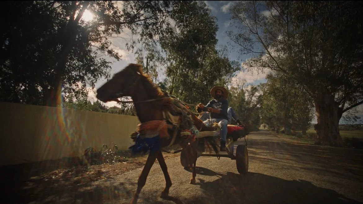 Beyond the Short - Curated Indie Short Documentaries | Documentary Film ...