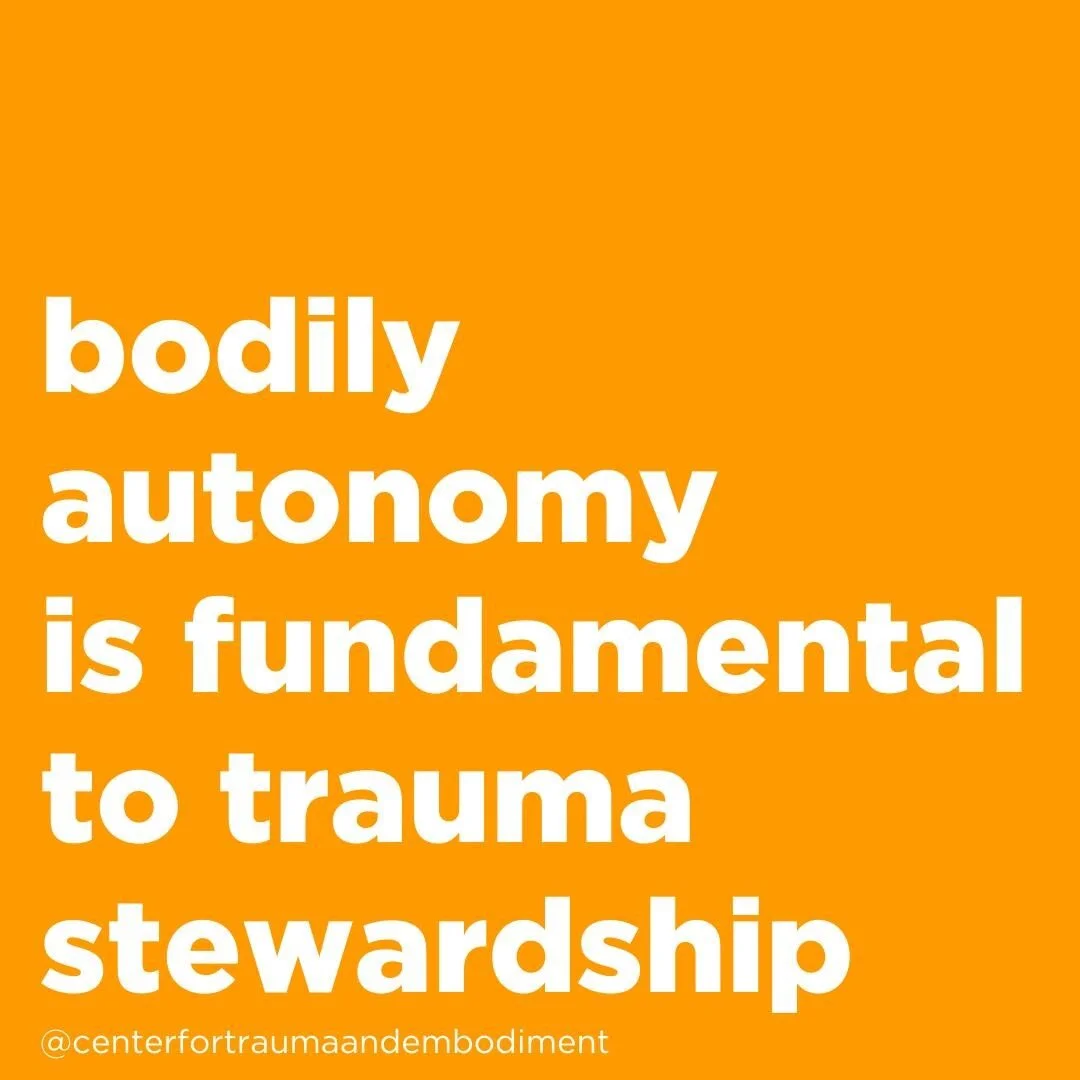 TCTSY • Trauma Center Trauma Sensitive Yoga