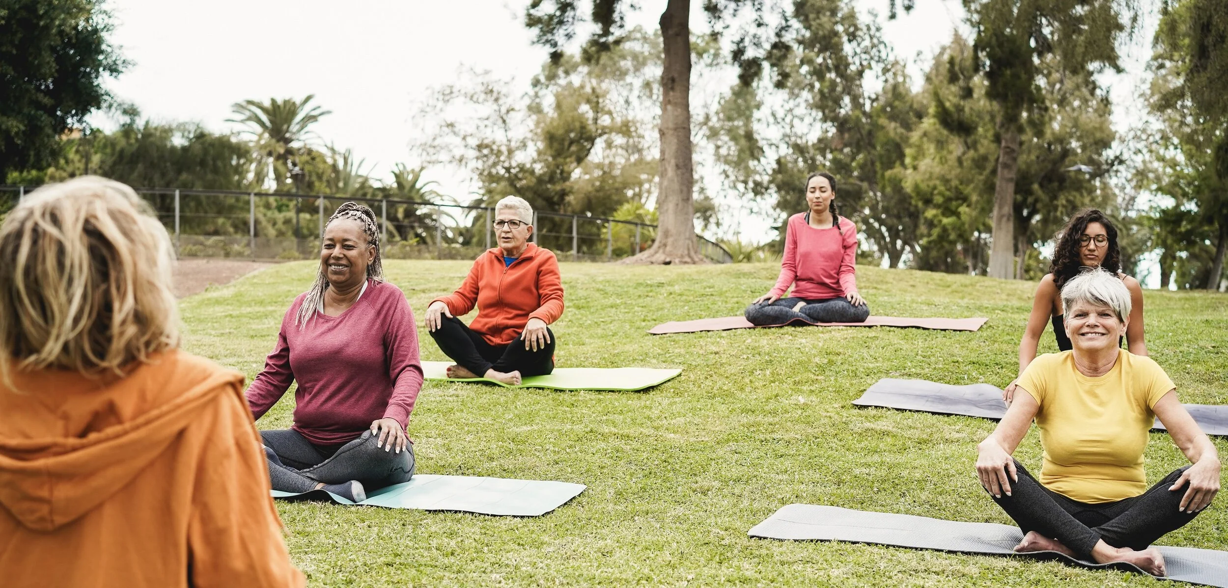 Certification Program — Trauma Sensitive Yoga • The Original Yoga for ...