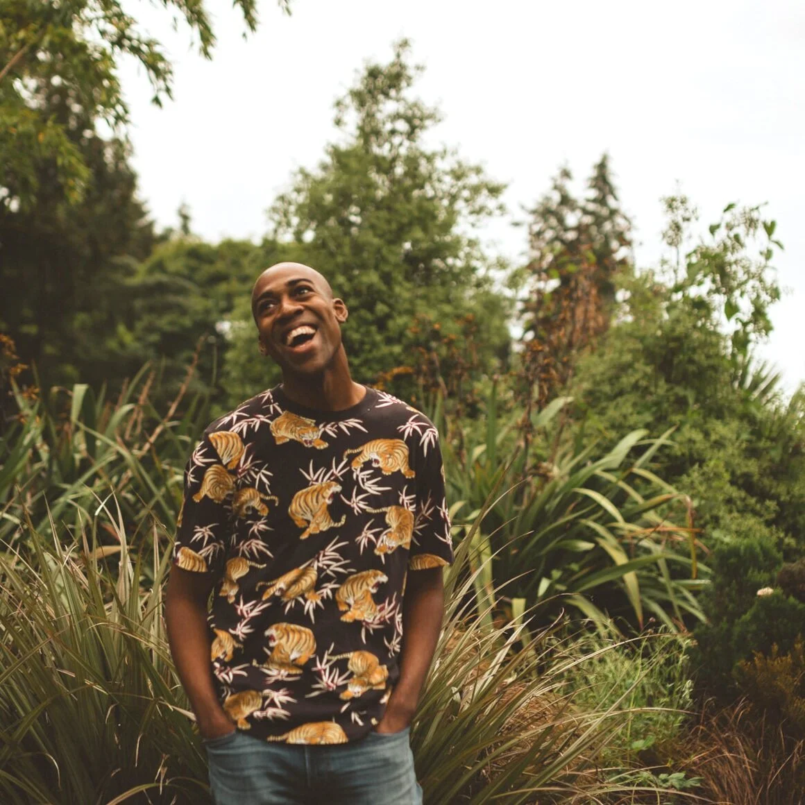 Gallery 1 — Jungle Jordan