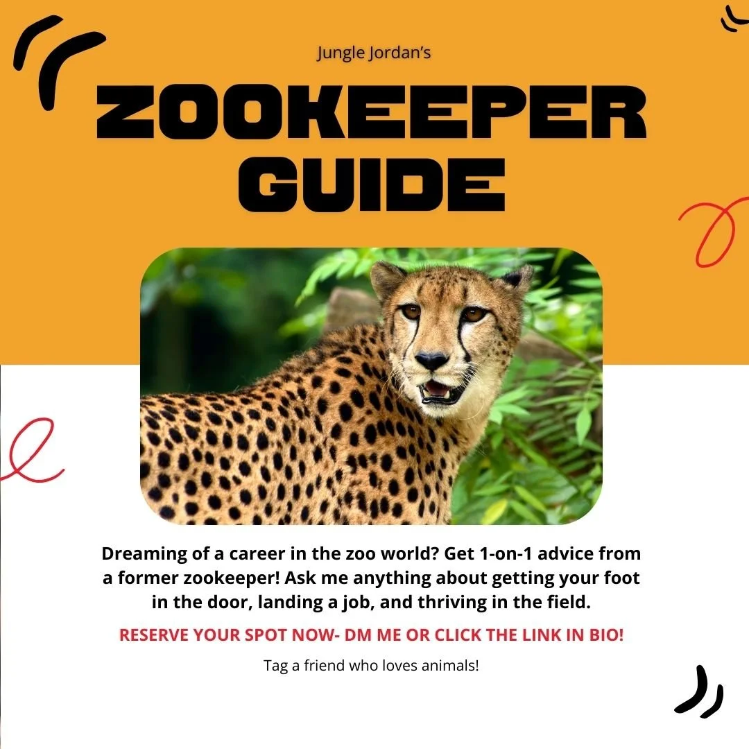 Zookeeper Guide — Jungle Jordan