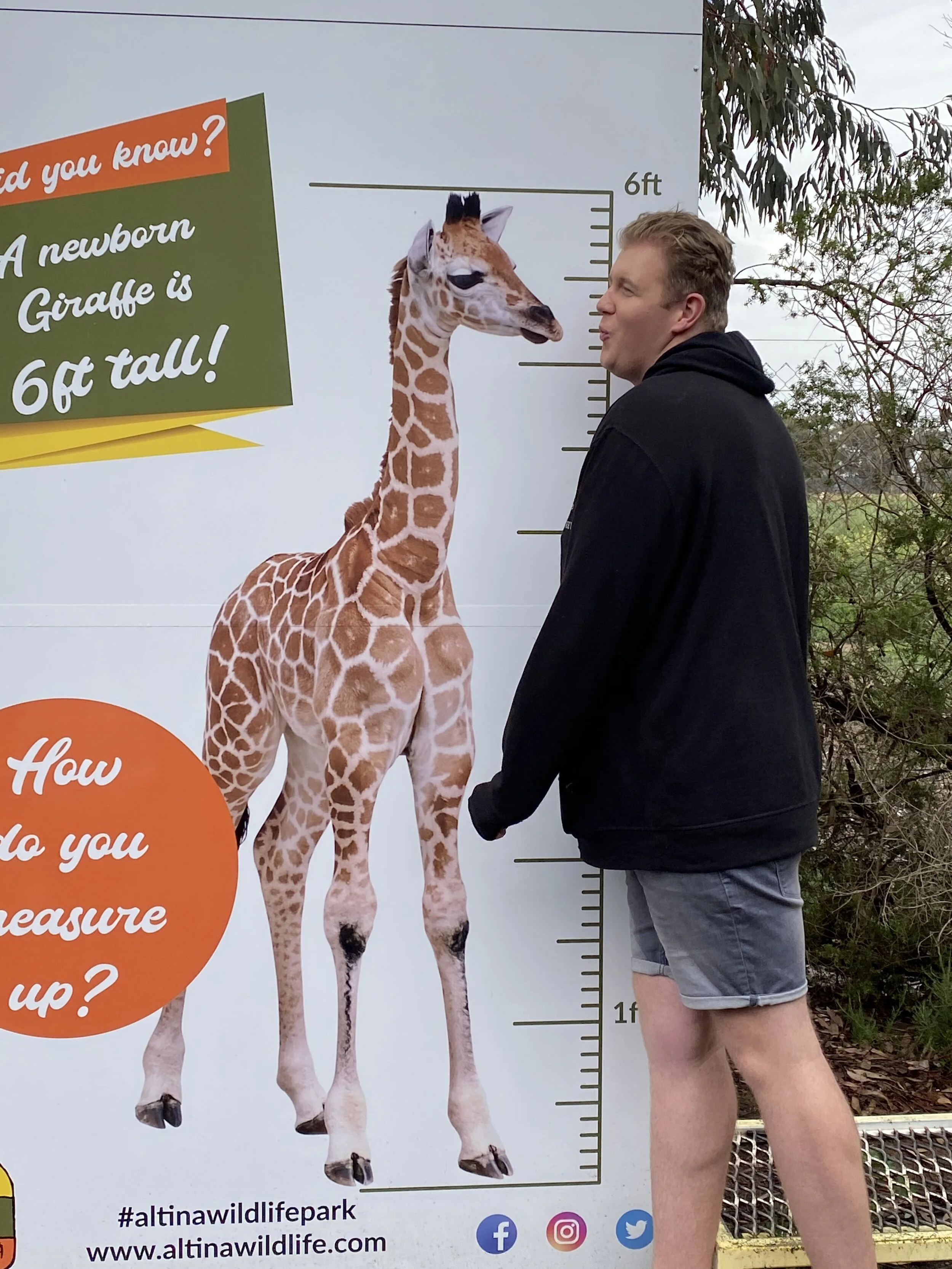 Reviews 1 — My Plan Connect