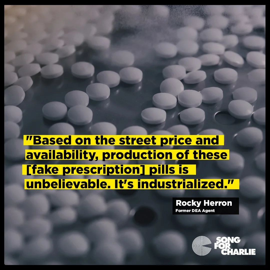 Video — Treeve Philp - Video Editor