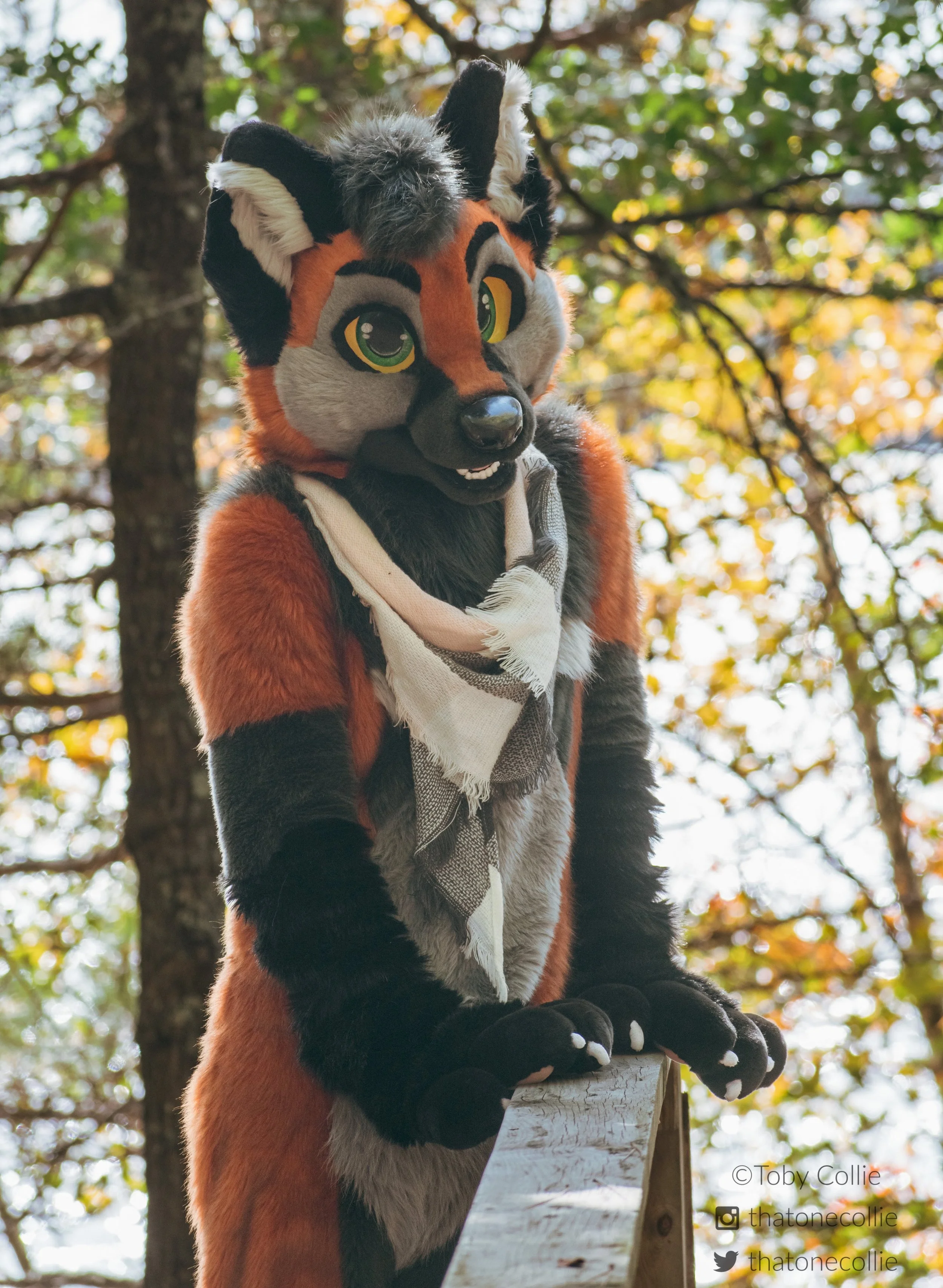 The Family | Glitzy Fox Studios