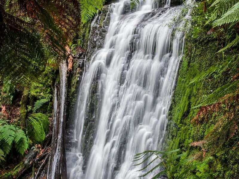 Chasing Waterfalls — THE SOURCE otways