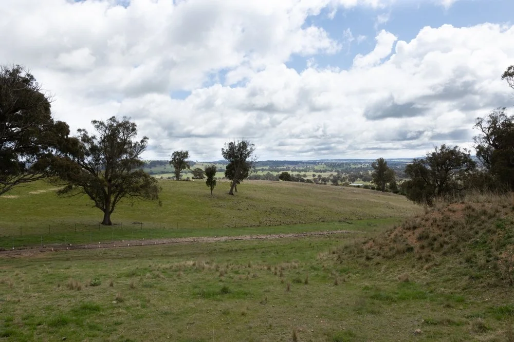 EnergyCo: New England REZ Place Management — Social Atlas