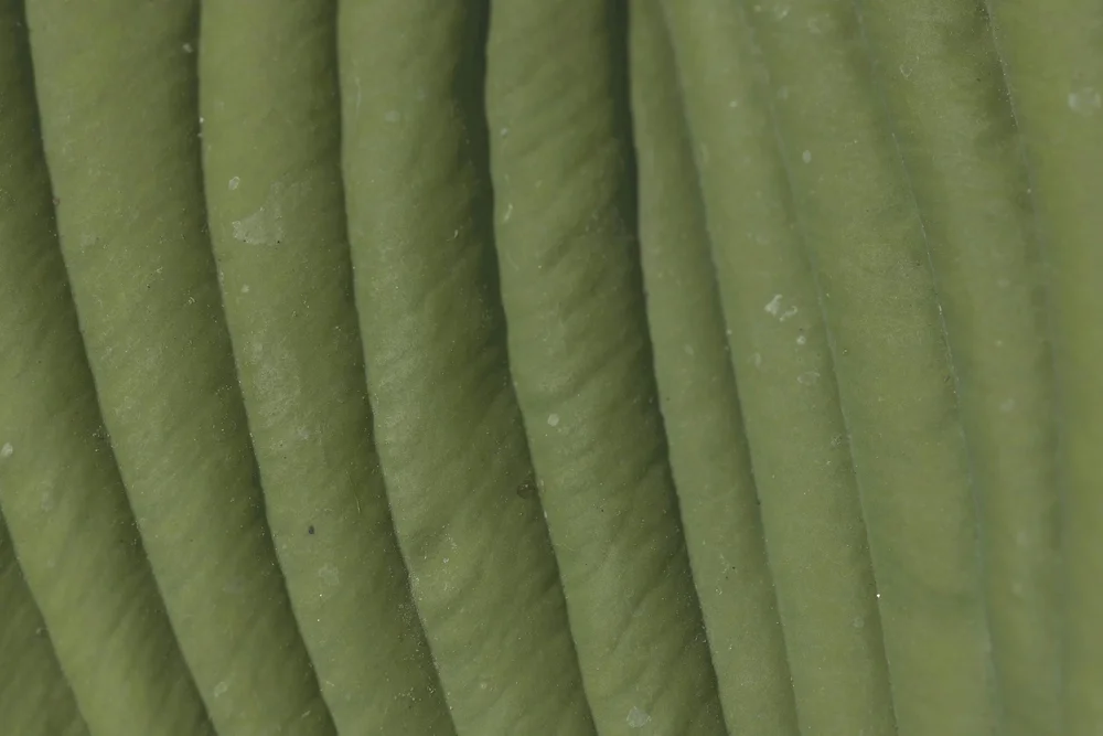 EDGE Certification | Sustainahaus | Green Building & ESG Consultant ...