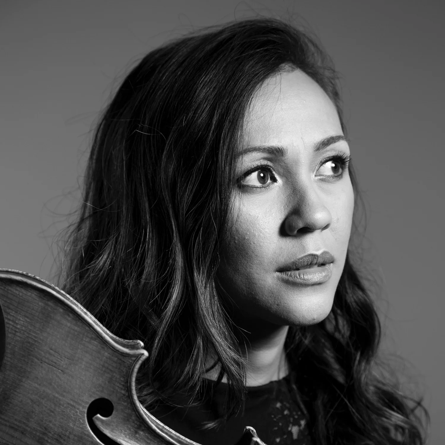 Amanda Verner — Harmonic Progression