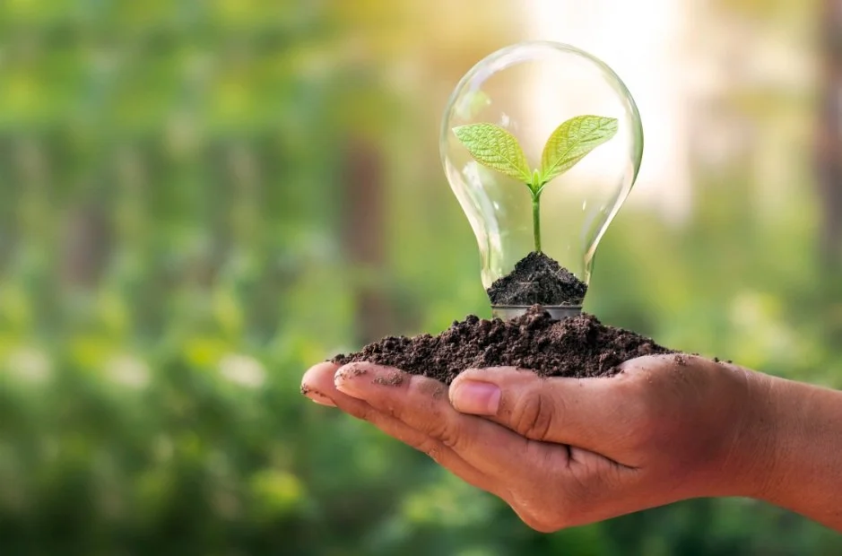 One task per month ideas — Harmonic Progression