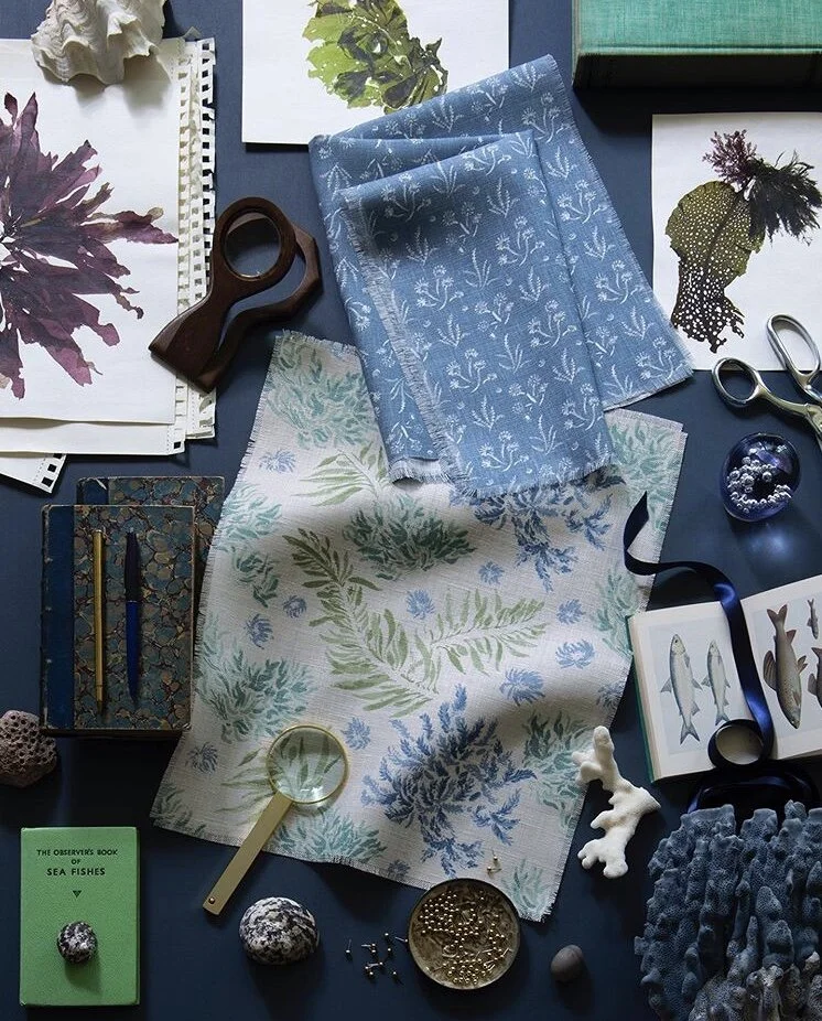 Our Collection of Brands — The Design Social Studio