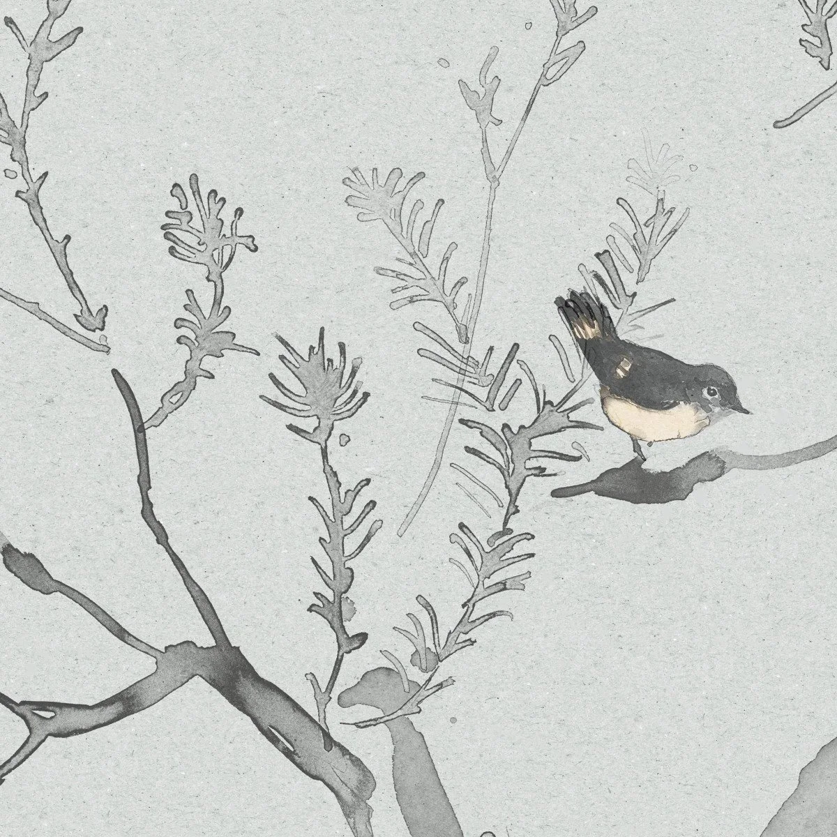 Heath Banksia Wallpaper — The Design Social Studio