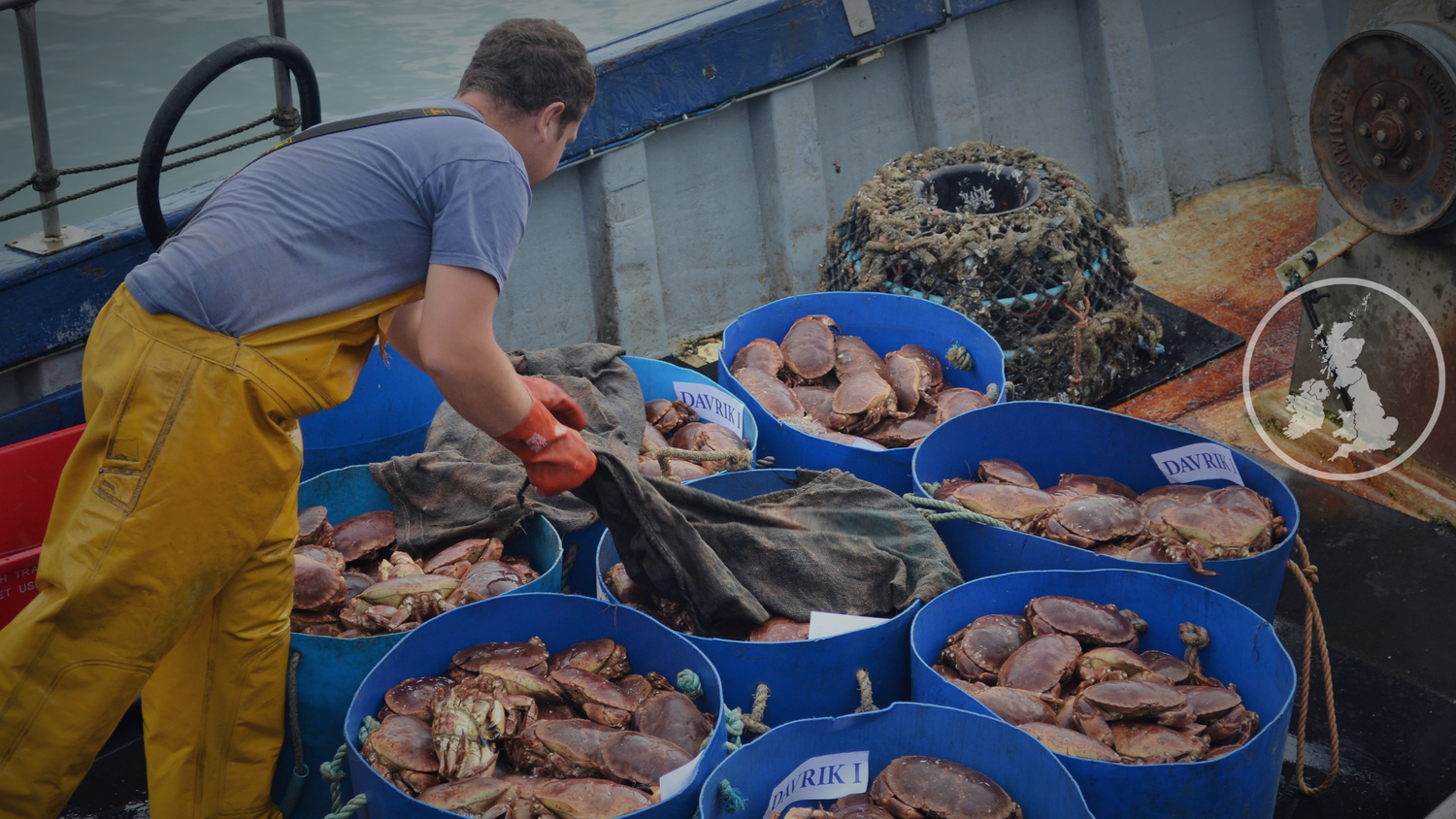 Project Uk Core Funders