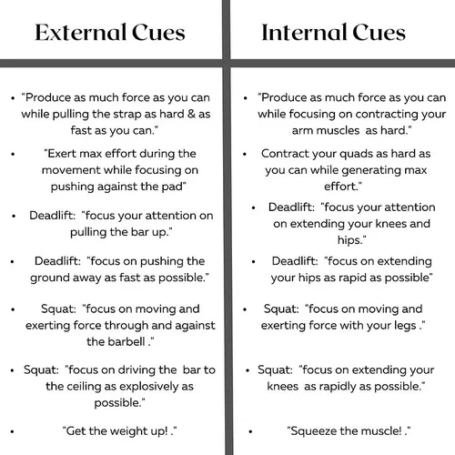 Does focusing on the squeeze really build more muscle? — Wolf Coaching