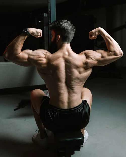 About — Wolf Coaching