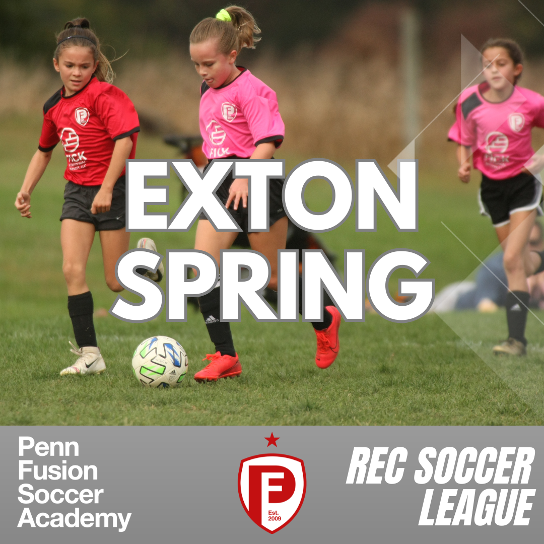Recreation League — Offering top-tier soccer training, player ...
