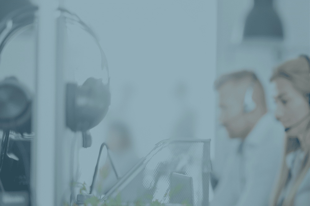 311 Customers — Citibot