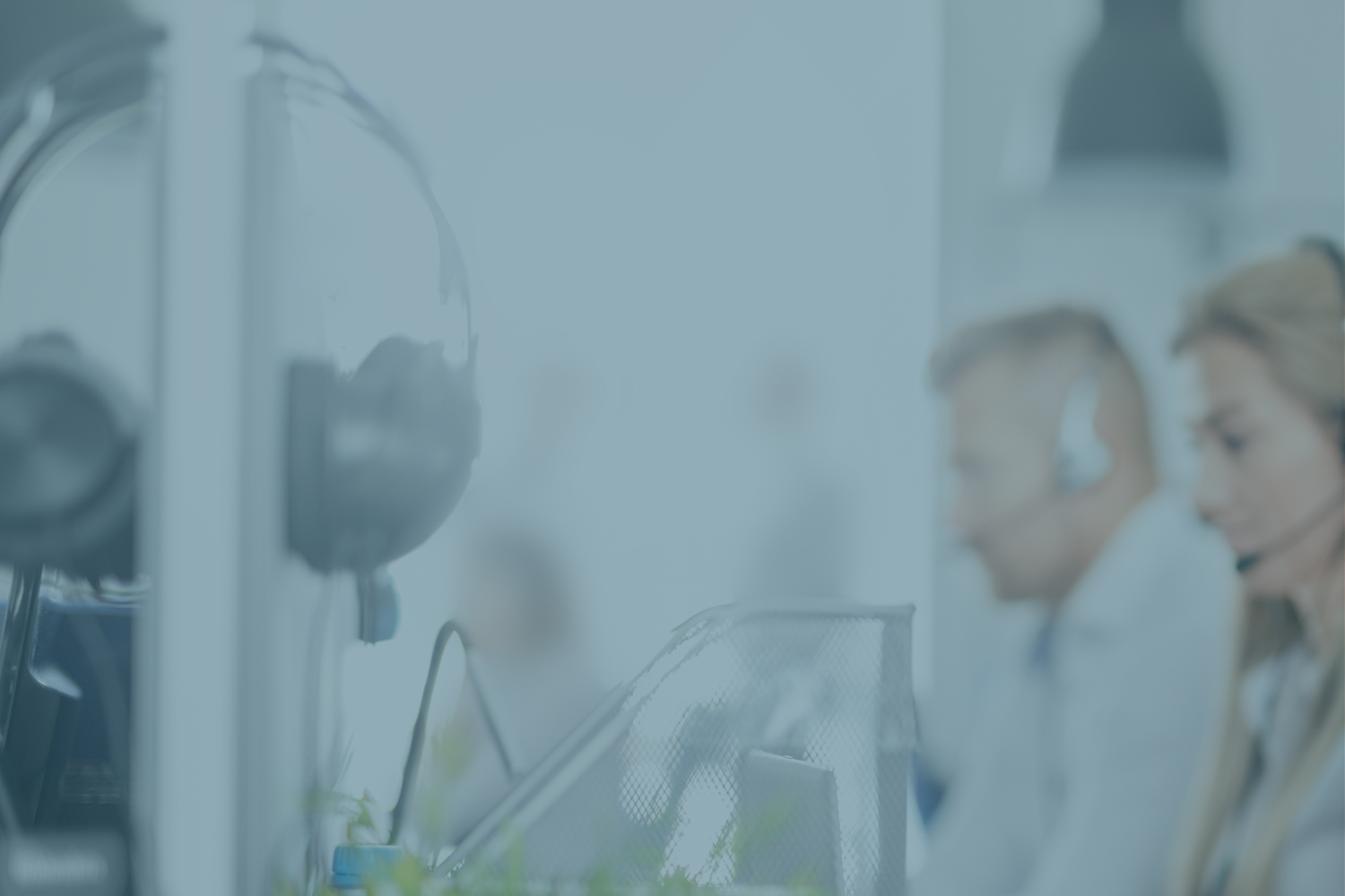 311 Customers — Citibot