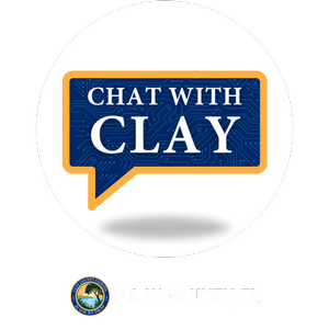 Text Chat Solution — Citibot