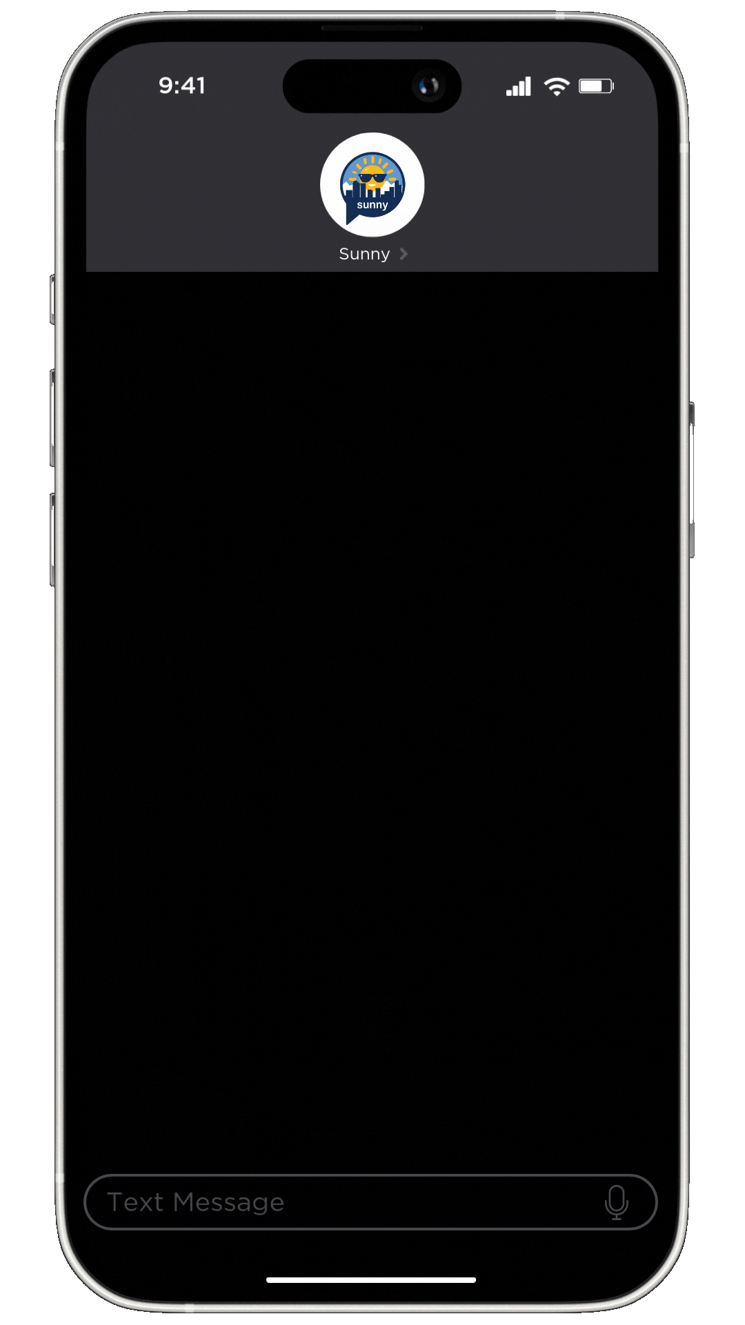 Text Chat Solution — Citibot