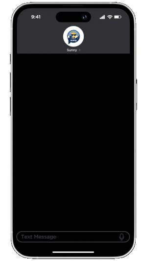 Text Chat Solution — Citibot