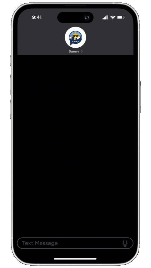 Text Chat Solution — Citibot