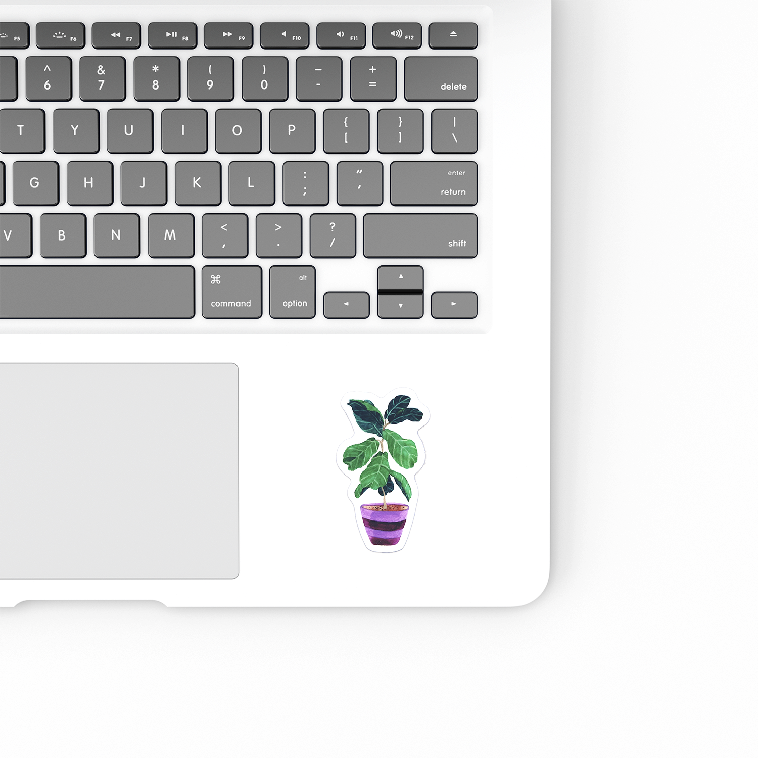Fiddle-Leaf Fig Plant Sticker — jdg creates