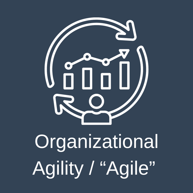 Architectures Center of Excellence (ACOE)