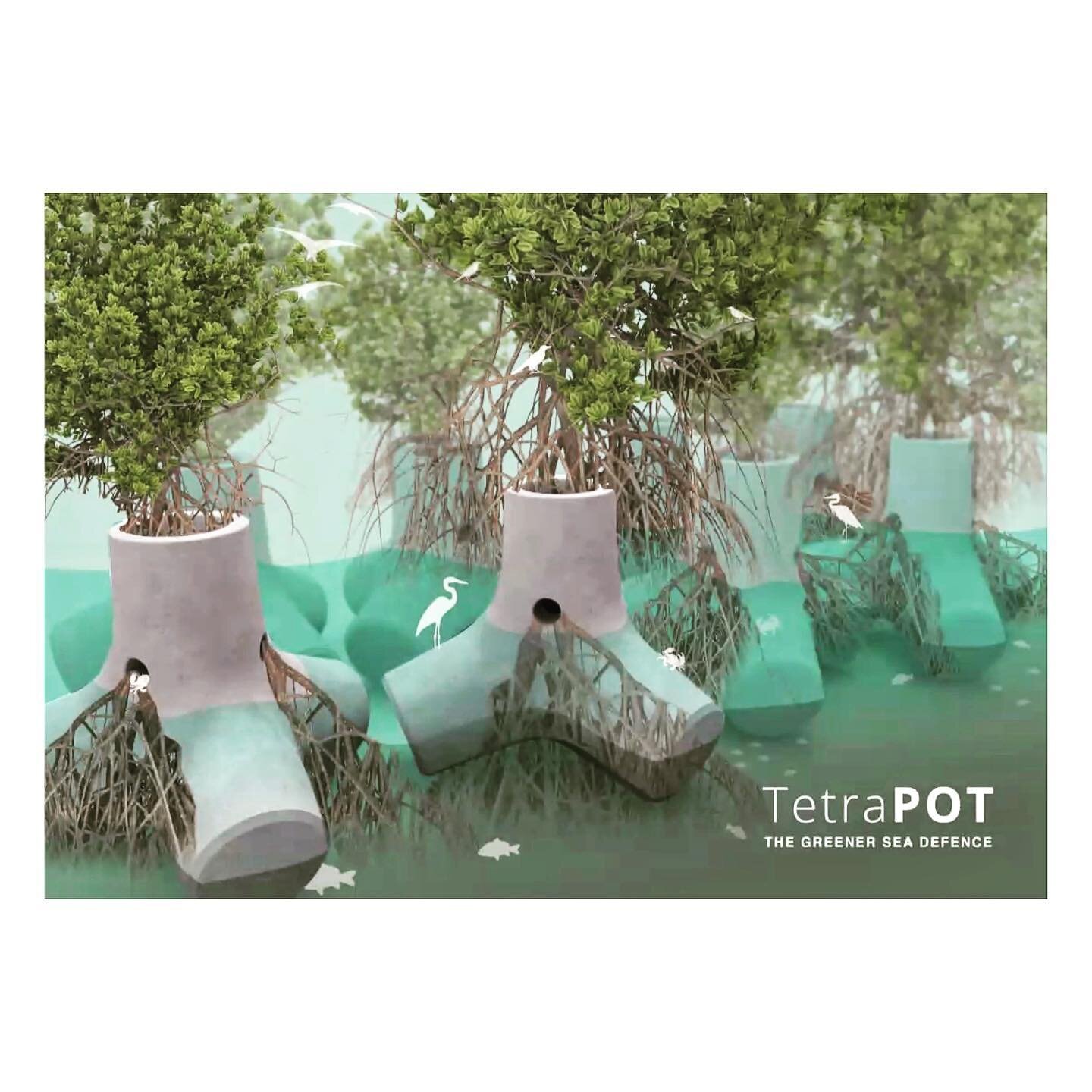 About — Lara Hoad Architecture Design