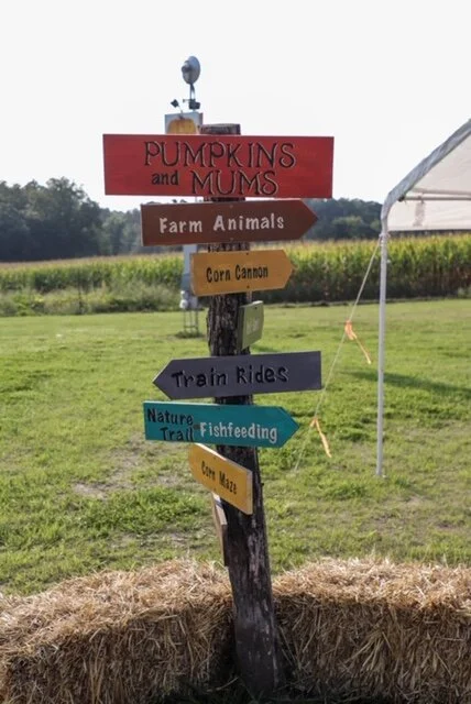 Attractions — Hickory Ridge Orchard