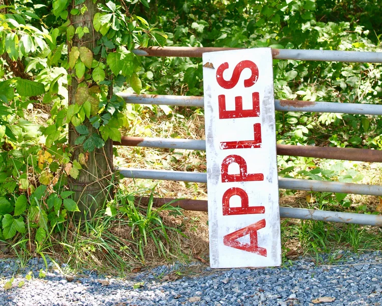 Attractions — Hickory Ridge Orchard