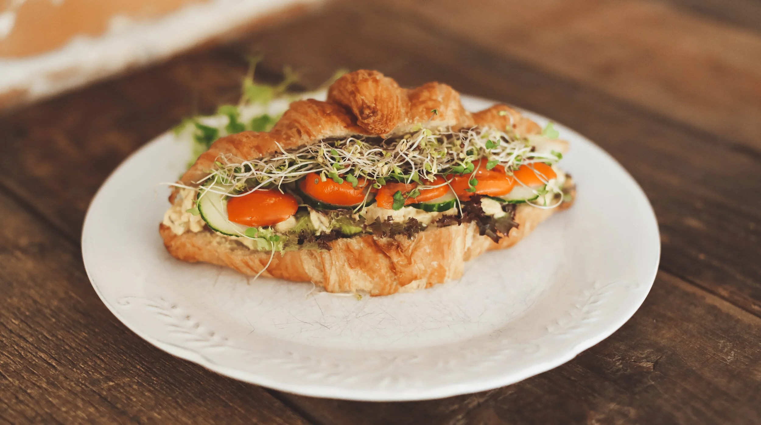 Shop Sprouting Supplies and Seed — Sprout Club