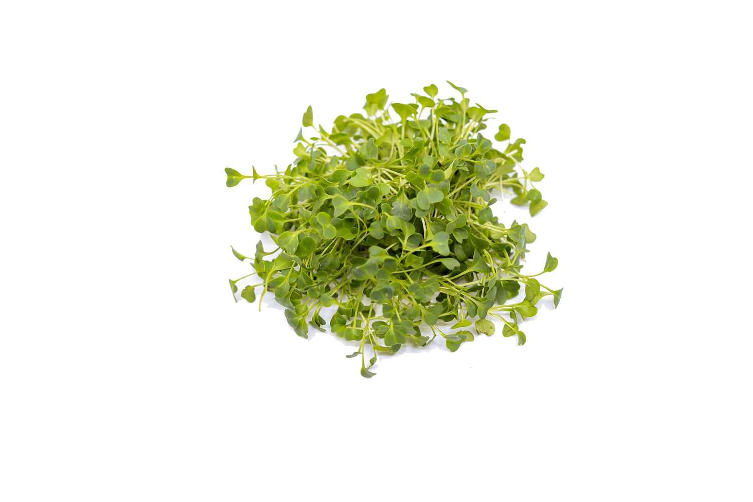 Sprout Club