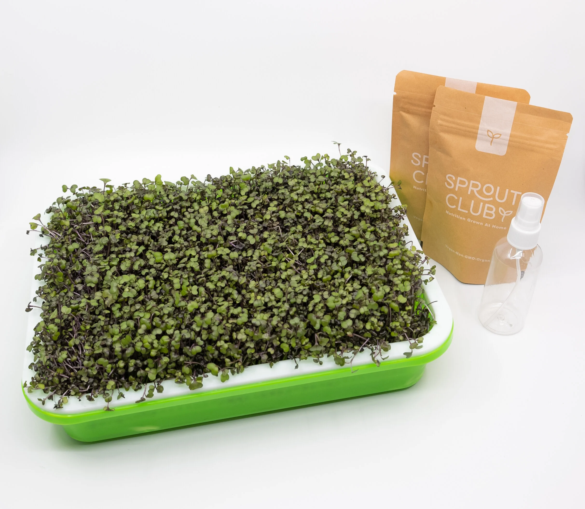Shop Sprouting Supplies and Seed — Sprout Club