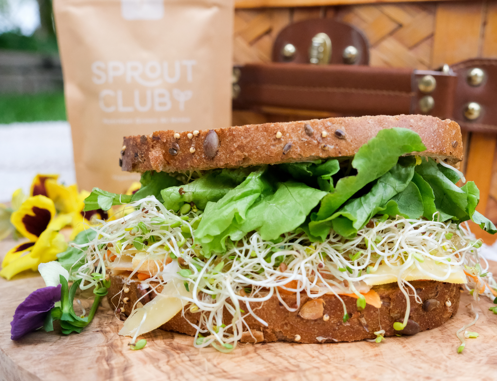 Shop Sprouting Supplies and Seed — Sprout Club