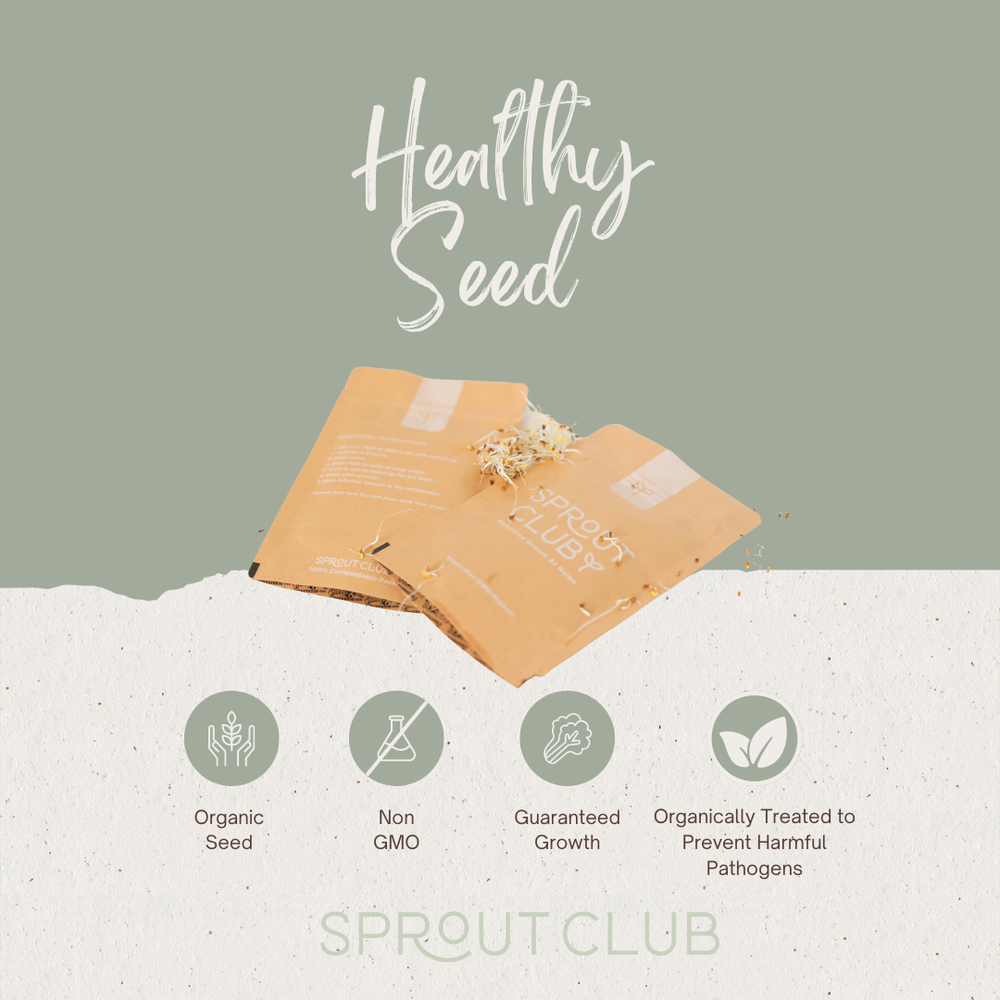 Shop Sprouting Supplies and Seed — Sprout Club