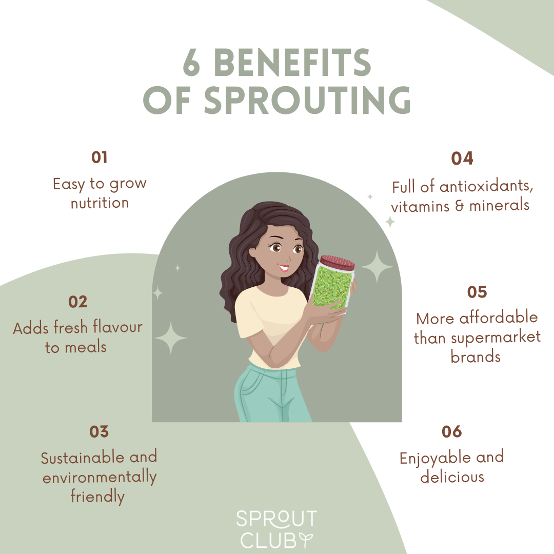 Shop Sprouting Supplies and Seed — Sprout Club