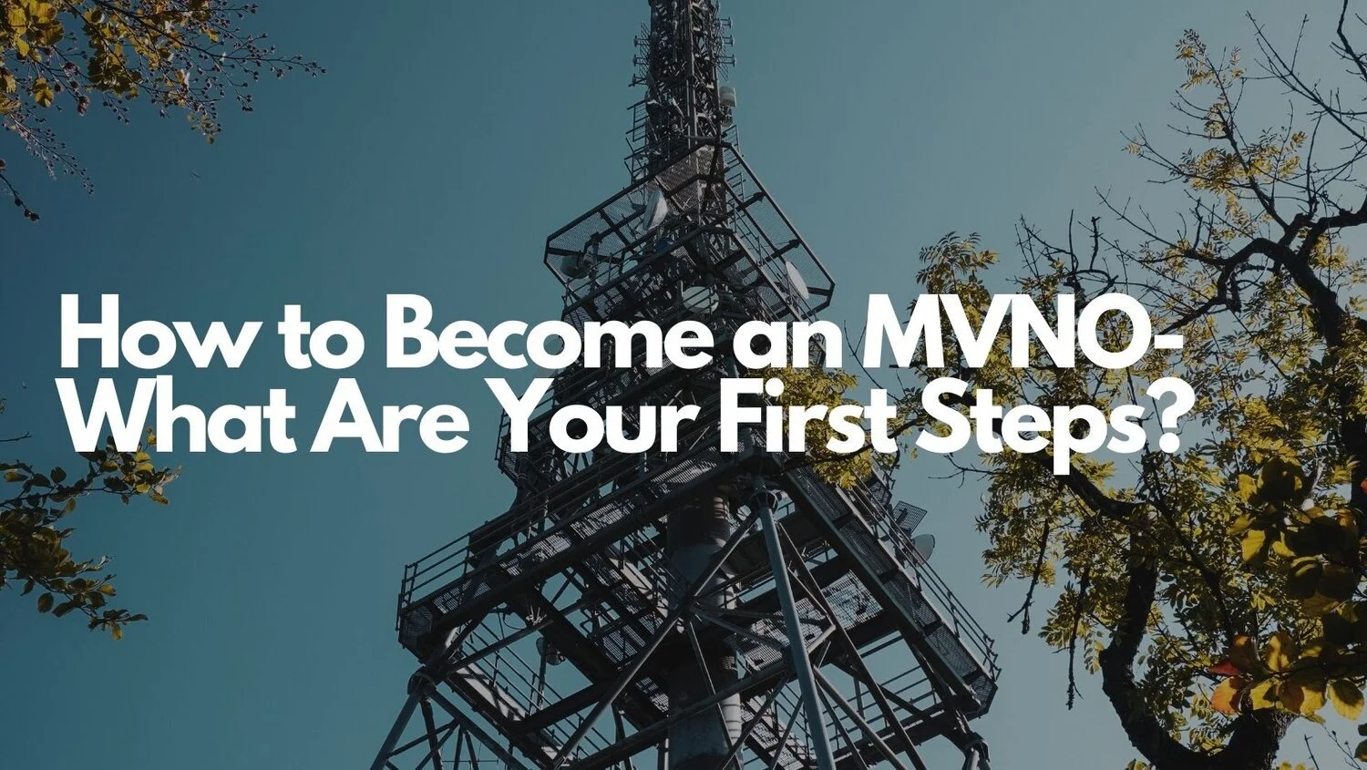 How to Become an MVNO- What Are Your First Steps? - Telgoo5 Telgoo5