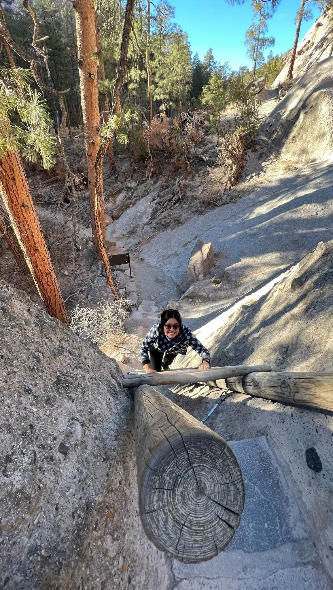 Maria Calvert Consulting